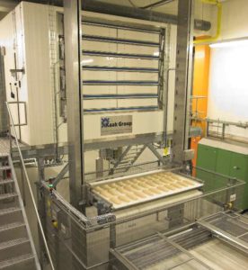 Industrial Bread Production | Hearth Bread Baking Line & Belt Proofer